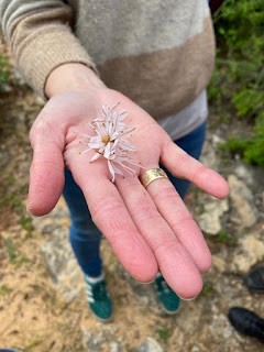 CAARI 2022 volunteers at Botanical Gardens - Caari